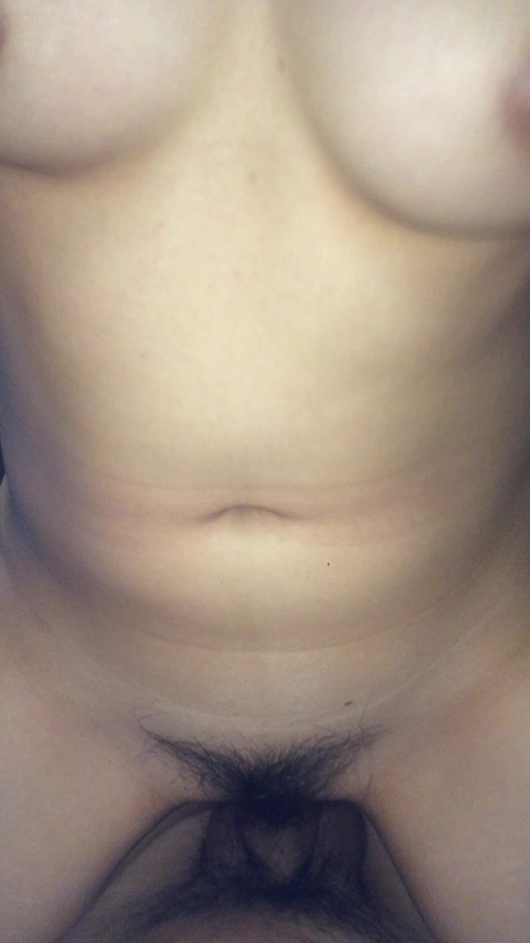 Asian Bouncing Tits